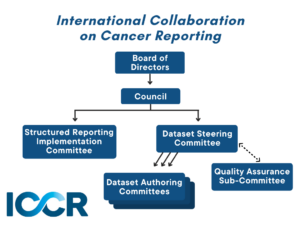 Organisational Structure - ICCR