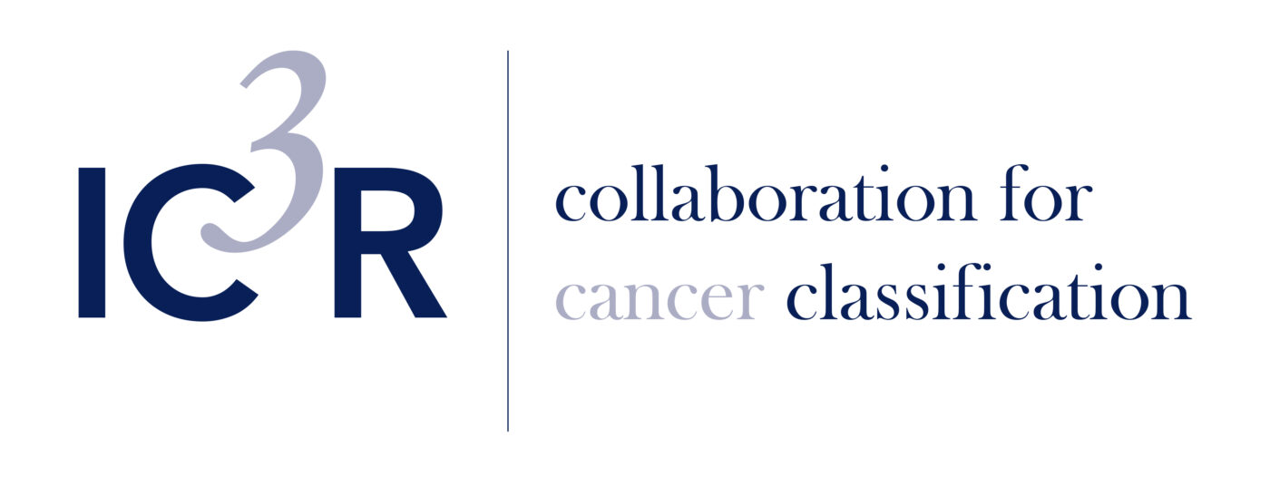 Affiliated Organisations - ICCR